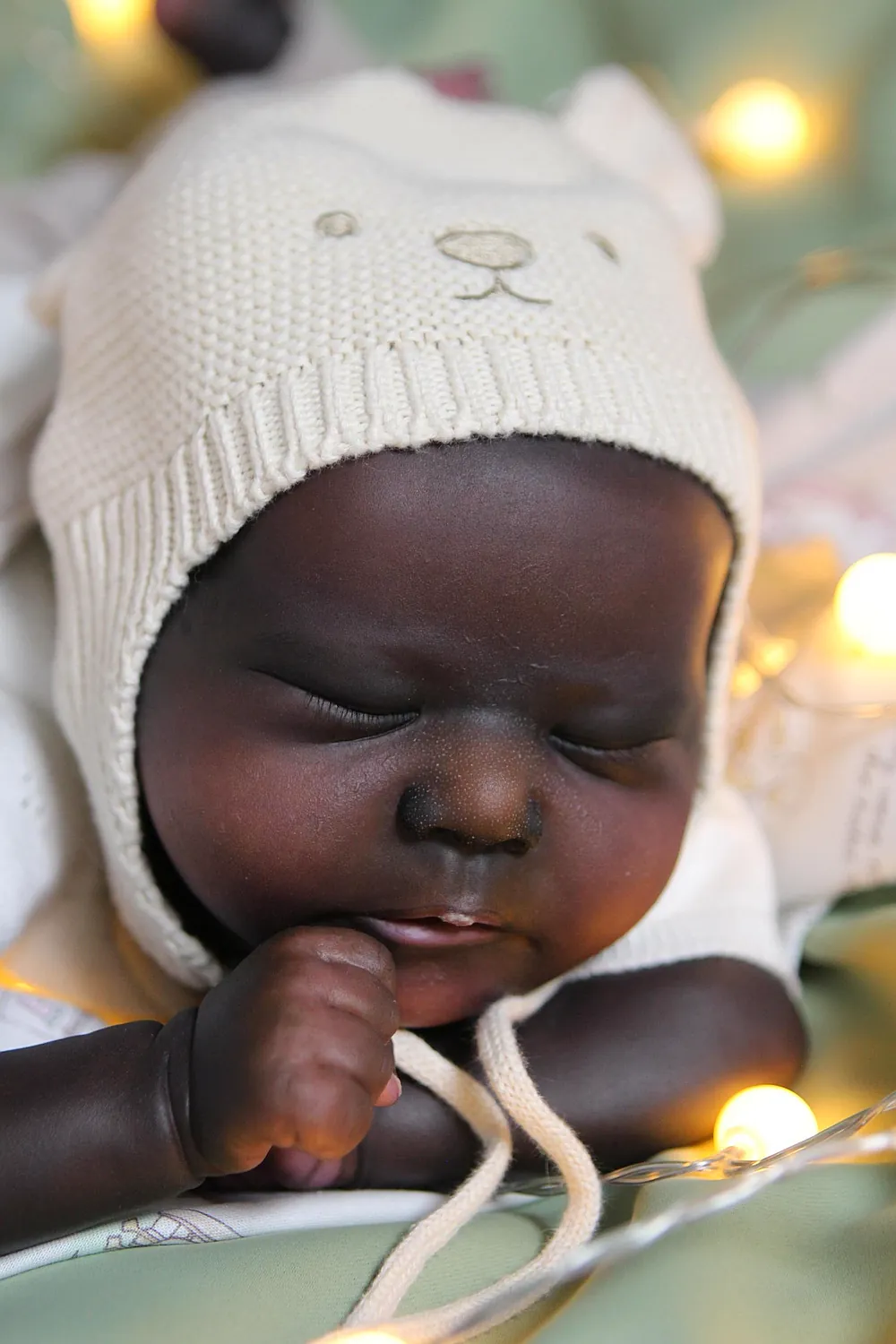 Chase - judysnurseryllc