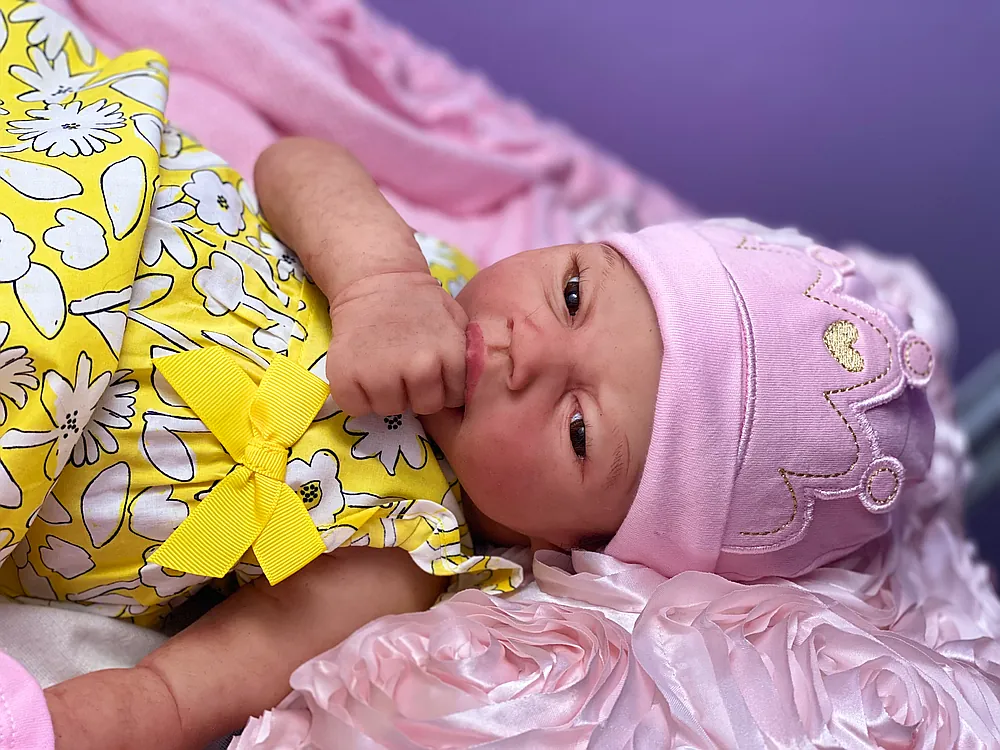 Phyls - judysnurseryllc